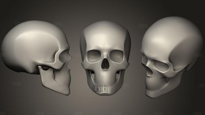 Human Skull for Artist | 3d stl model for CNC
